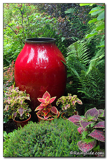 A Gallery of Foliage Plants